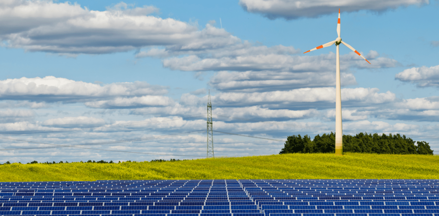 Towards net zero: Four key considerations for organisations on a ...